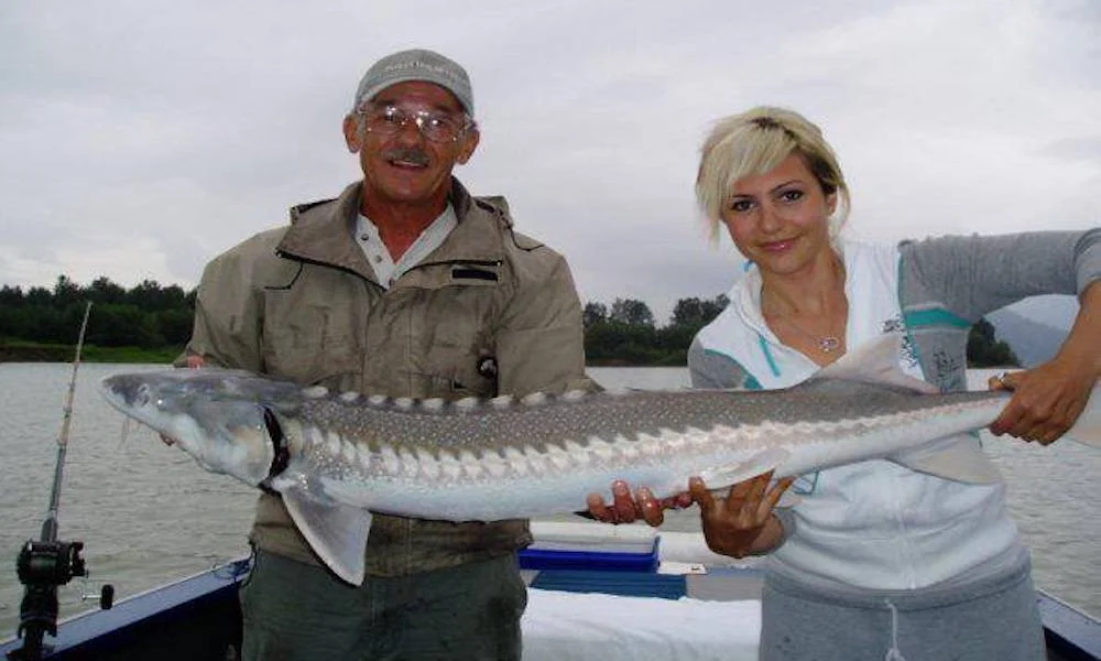 Anchored Podcast Ep. 34: Jim Rissling On Fraser River Sturgeon
