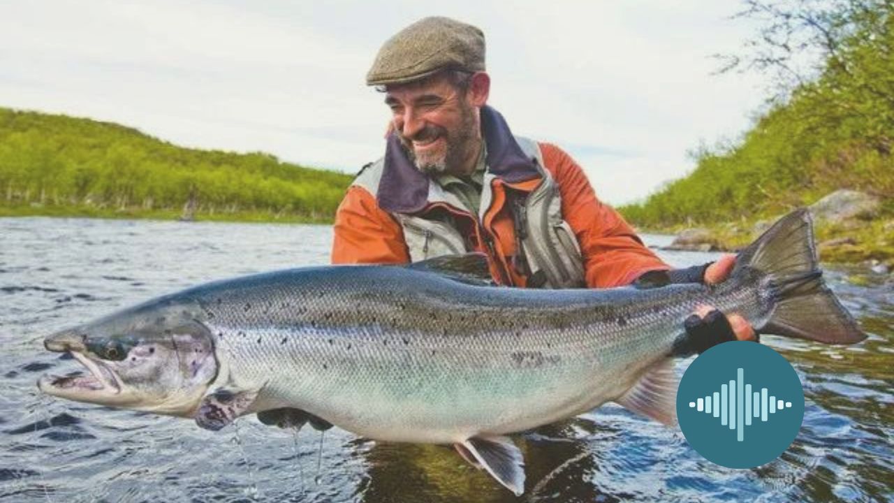 Anchored Podcast Ep. 235: Matt Harris on Fly Fishing the World, Media ...